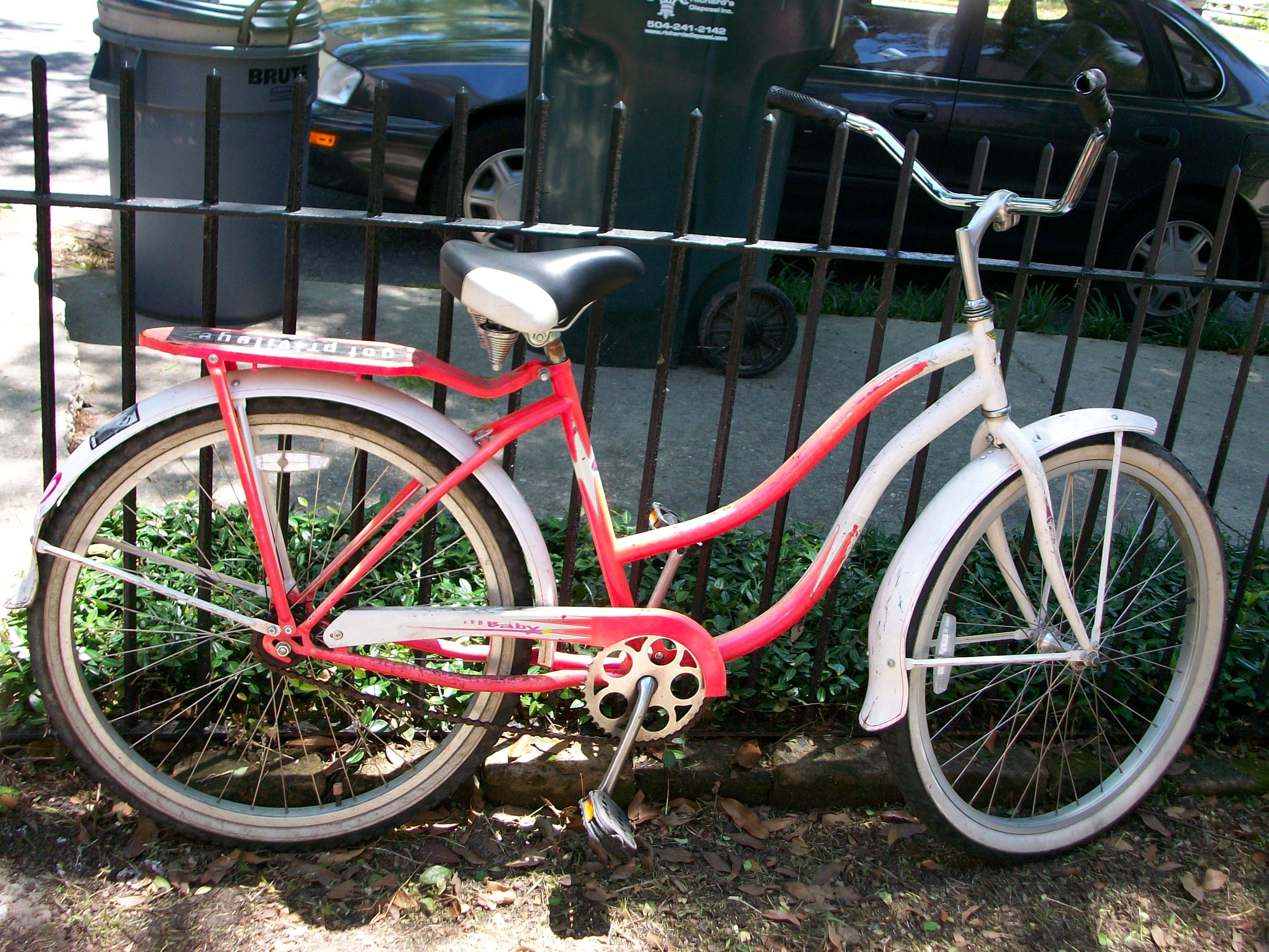 Rhoda – What I Saw Riding My Bike Around Today